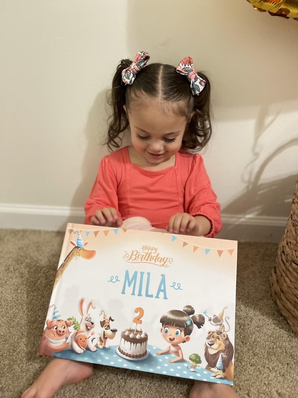 EVERYTHING YOU NEED TO KNOW: "HAPPY BIRTHDAY CAMRYNN"