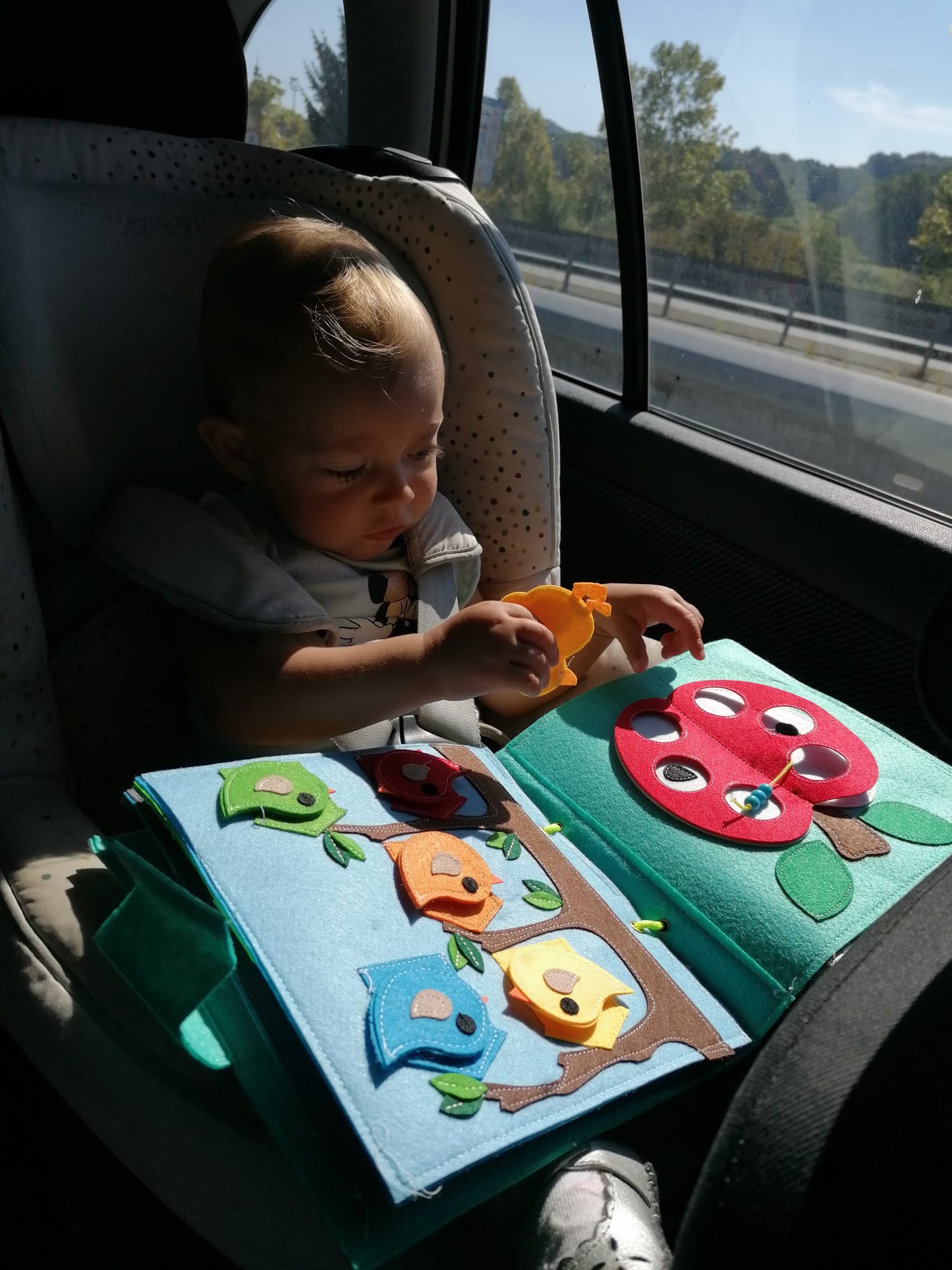 On the Farm - Quiet Busy Book - Froggy Edition